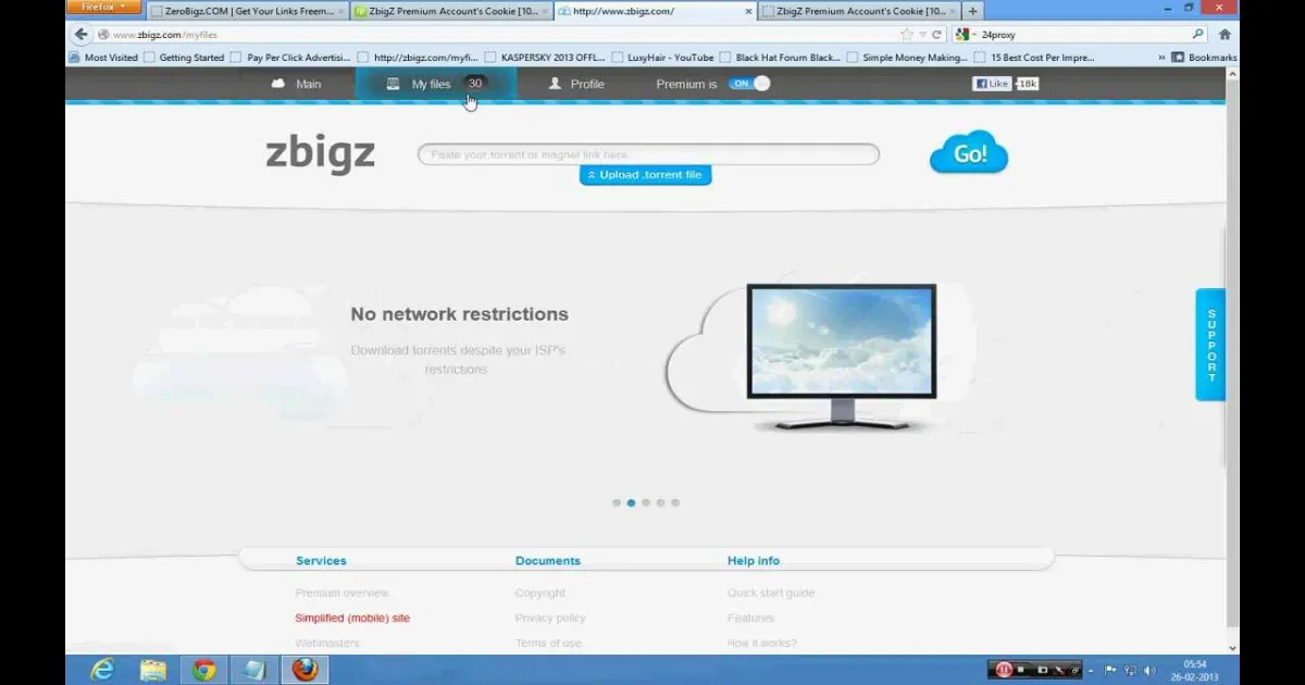 Best Zbigz Alternatives Reviews 2025 | Avexir